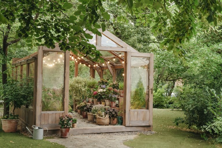 12 idées DIY pour construire une serre dans votre jardin 🌱
